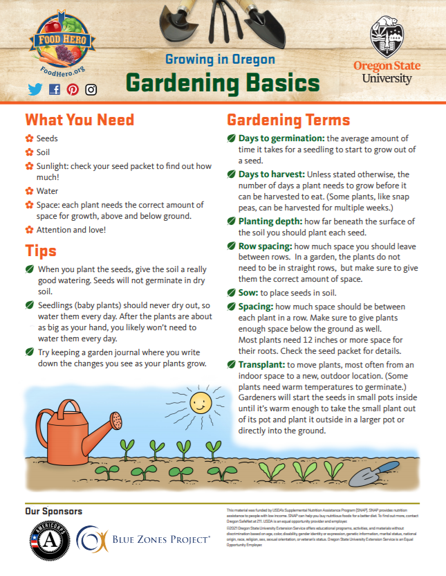 gardening-basics-what-you-need-food-hero