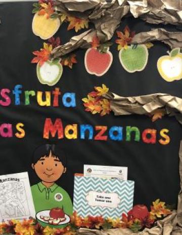 Manzanas | Food Hero