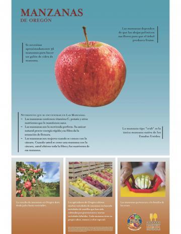 Manzanas | Food Hero