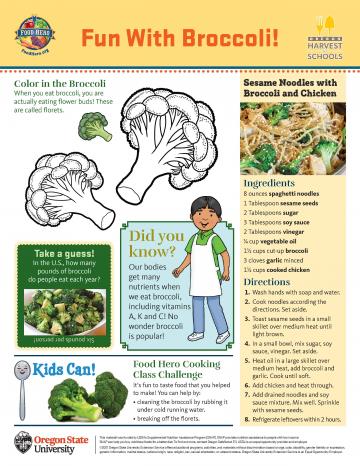 Broccoli | Food Hero